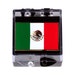 MEXICO Flag LAPEL PIN Hard Enamel Mexican Snake Eagle Bandera Symbol ...