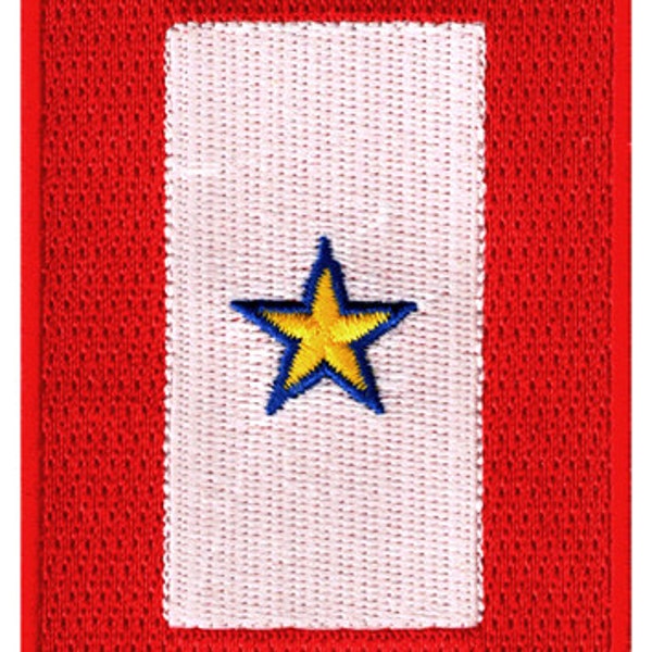 Gold Military Star Pin - Etsy