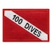 DIVE PIRATE Scuba Diving PATCH Embroidered Iron-on Applique Diver Down ...