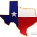 LARGE TEXAS OUTLINE Patch Shape State Flag Iron-on Embroidered Applique ...