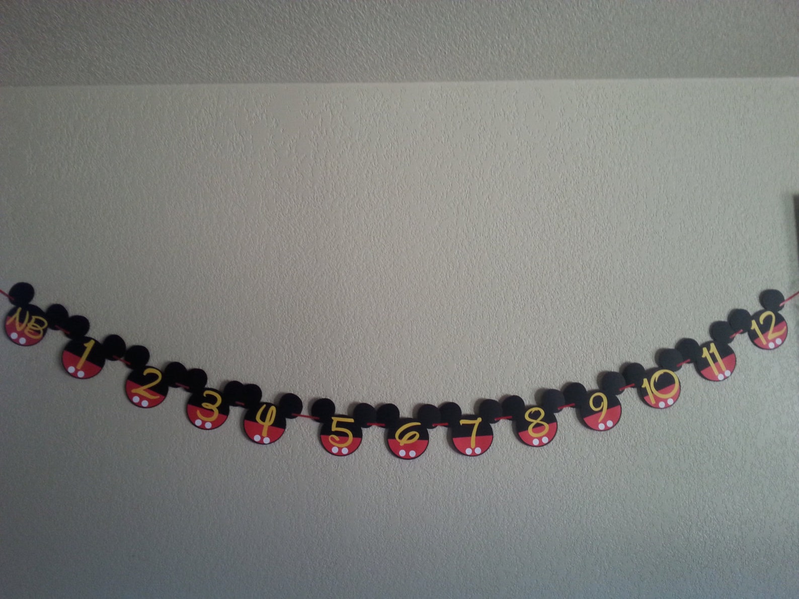 Minnie Mouse or Mickey Mouse Photo Picture Banner. Hold Newborn Thru 12 ...