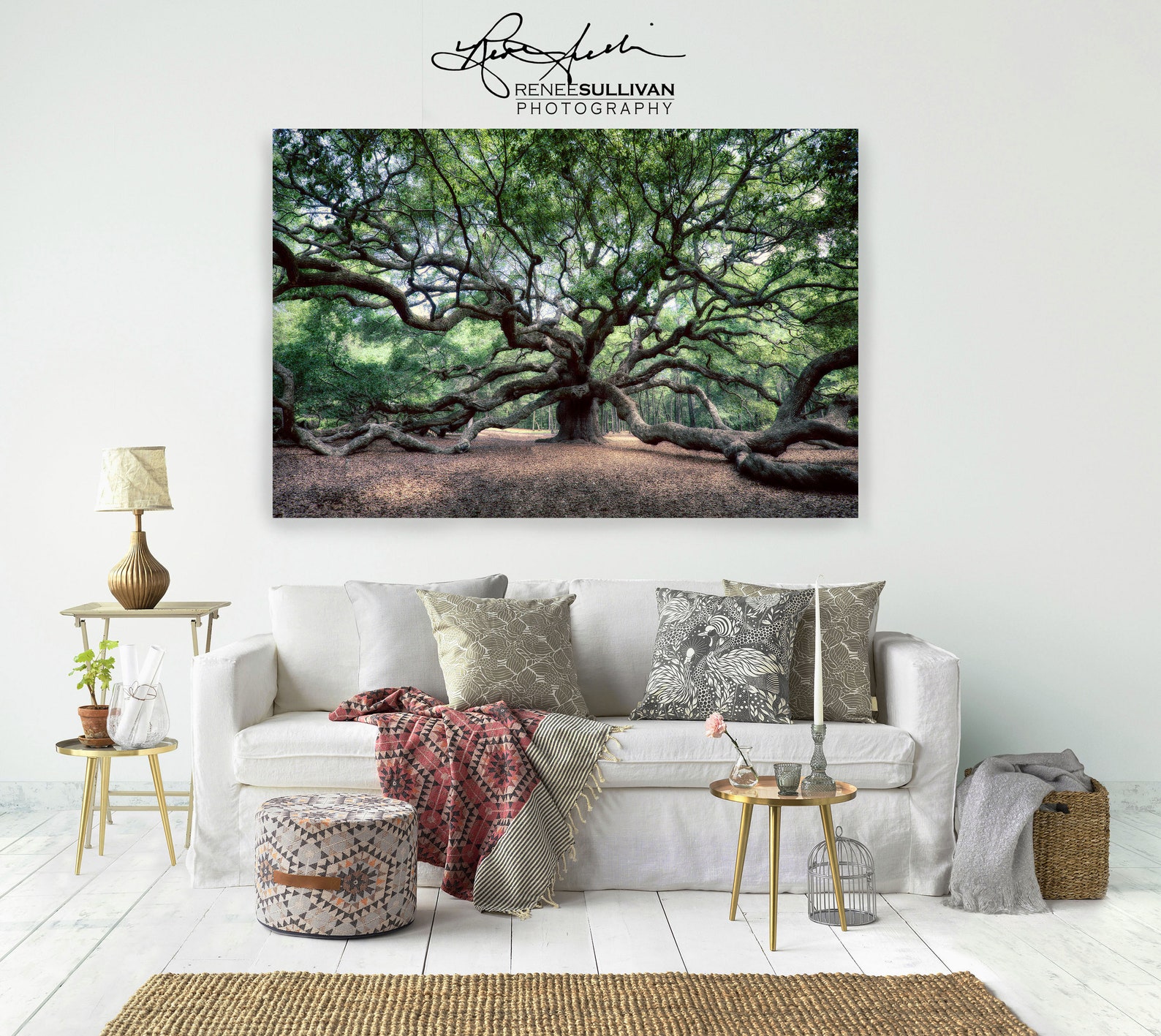 Angel Oak Tree/Charleston/South Carolina/Nature Fine Art | Etsy