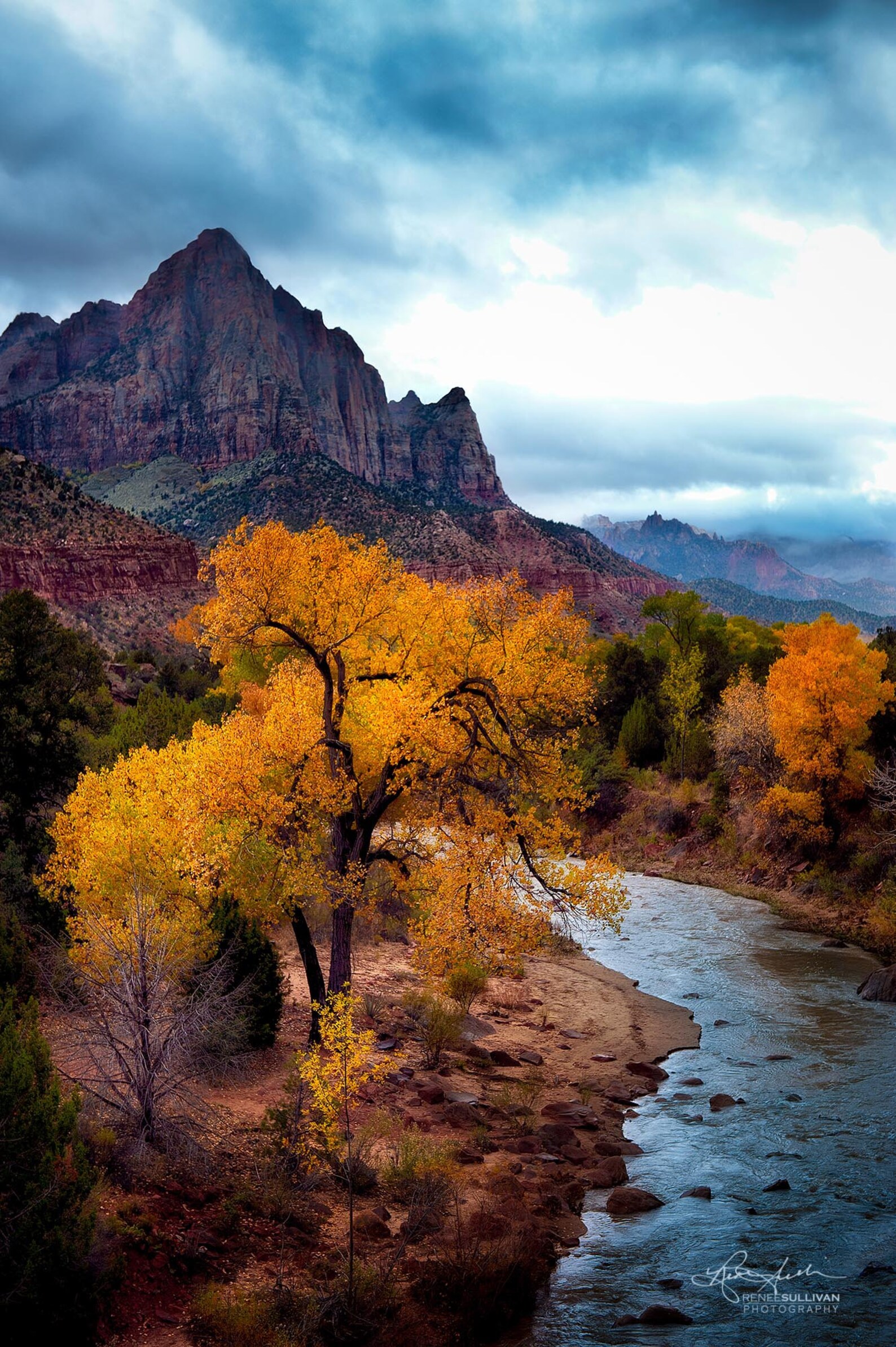 Zion National Park/fine Art Photo/southwest/utah/autumn Fall/nature ...