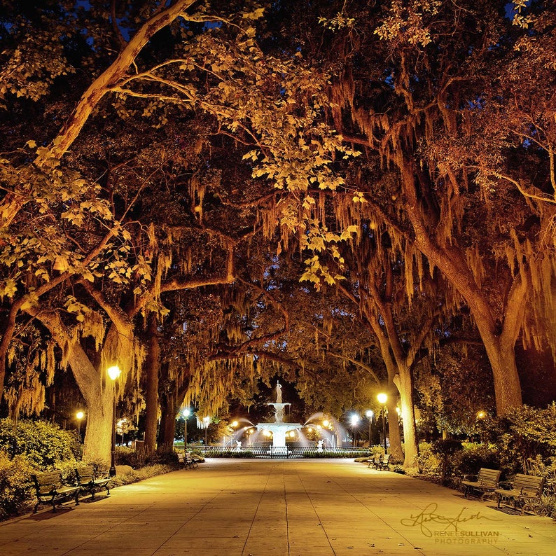 Savannah Georgia/Fine Art Photography/Forsyth Park Print/Extra | Etsy