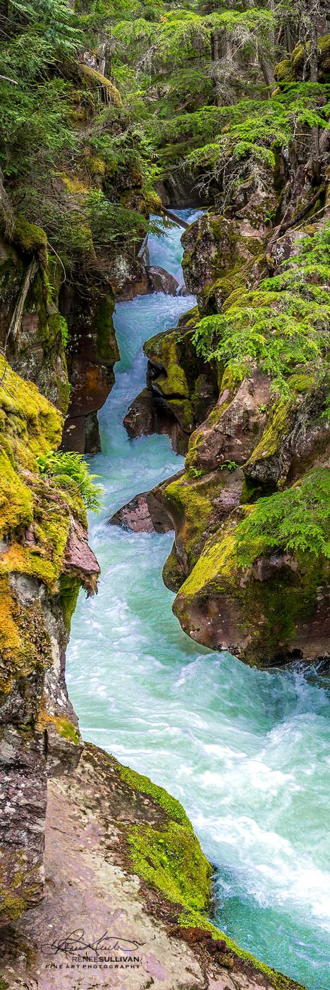 Avalanche Gorge/glacier National Park/montana/tall Narrow - Etsy