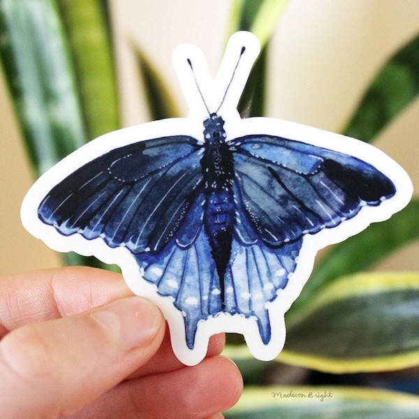 Pipevine Swallowtail - Etsy