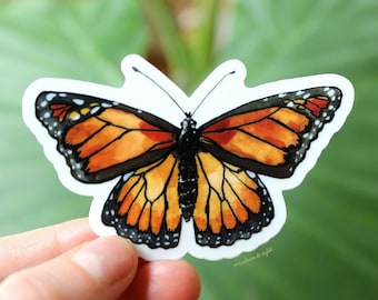Monarch Butterfly Life Cycle Vinyl Sticker Packs - Etsy
