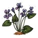 Wood Violets Illustration Common Blue Violet Archival Watercolor 6x6 ...