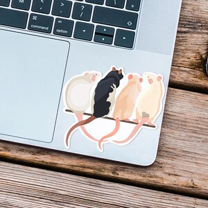 Onlookers - Vinyl Rat Sticker, Group of 4 Pet Rats Sitting Together - Etsy