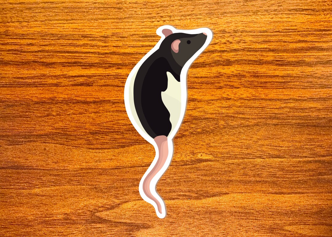 Black Hooded Rat - Vinyl Rat Sticker, Cute Sitting Black Hooded Rat - Etsy
