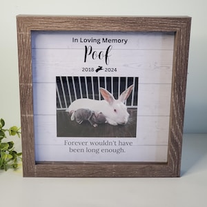 Rabbit Memorial Photo Frame, Bunny Memorial - Etsy