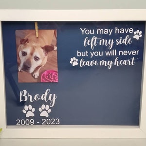 Pet Memorial Memory Box, Pet Memorial Shadowbox, Dog Memorial , Cat Memorial, Loss of Pet Gift ...