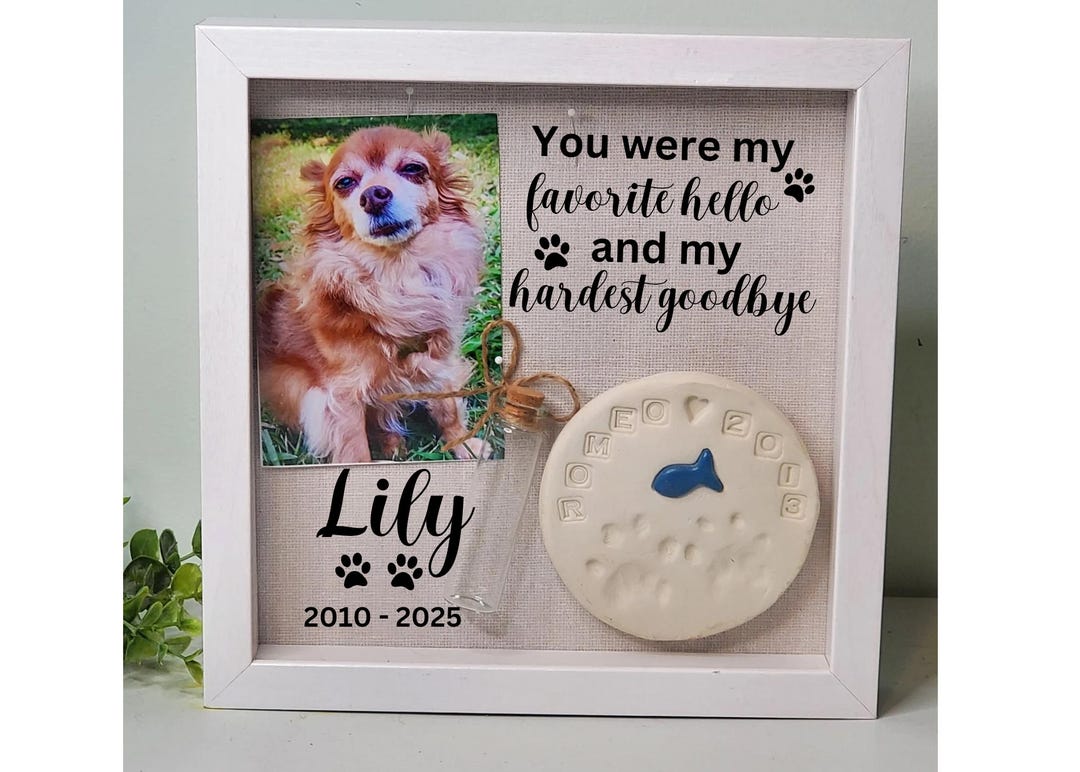 Pet Memorial for Fur, Large Pet Memorial Shadowbox, Dog Hair Memorial ...