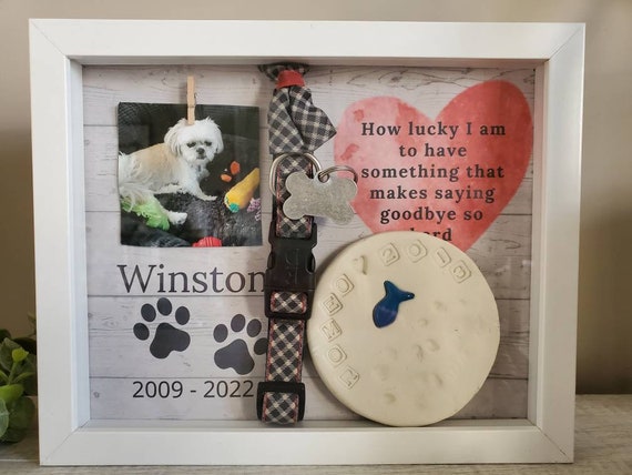 Pet Memorial Shadowbox Dog Memorial Cat Memorial Loss of - Etsy