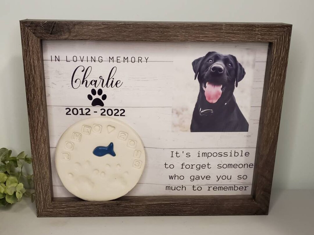 Pet Memorial Shadowbox, Pet Memorial, Dog Memorial , Cat Memorial, Loss ...