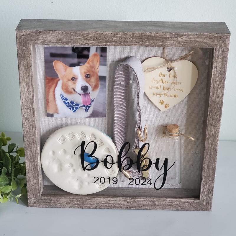 Dog Memory Shadow Box Collar - Etsy