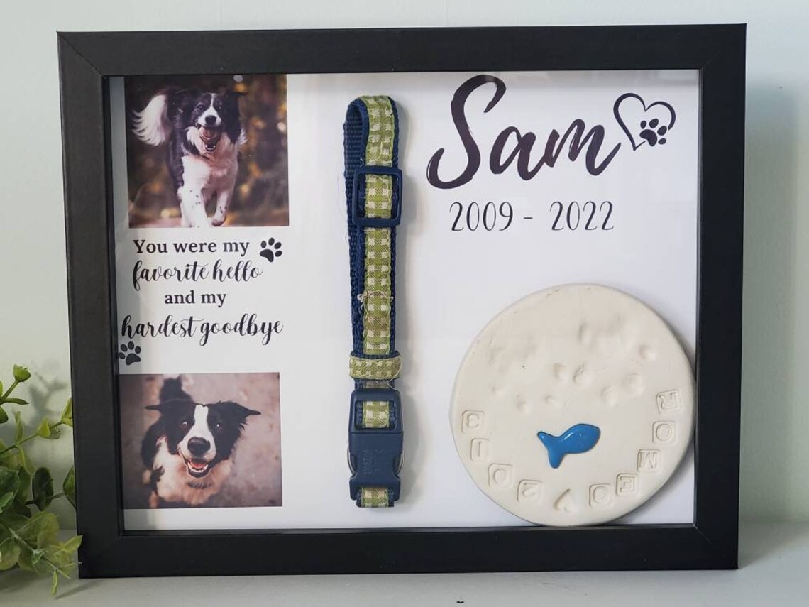 Pet Memorial Memory Box Pet Memorial Shadowbox Dog Memorial - Etsy