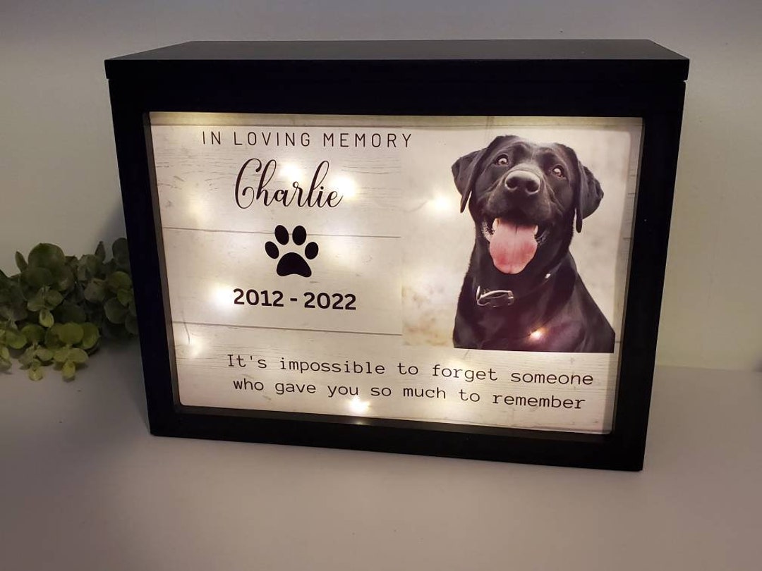 Pet Urn, Pet Urn for Dogs With Photo, Pet Memorial Urn, Personalized ...