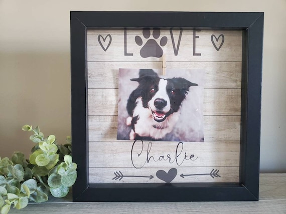 Gift for Pet Lovers Custom Pet Photo Frame Pet Shadowbox - Etsy