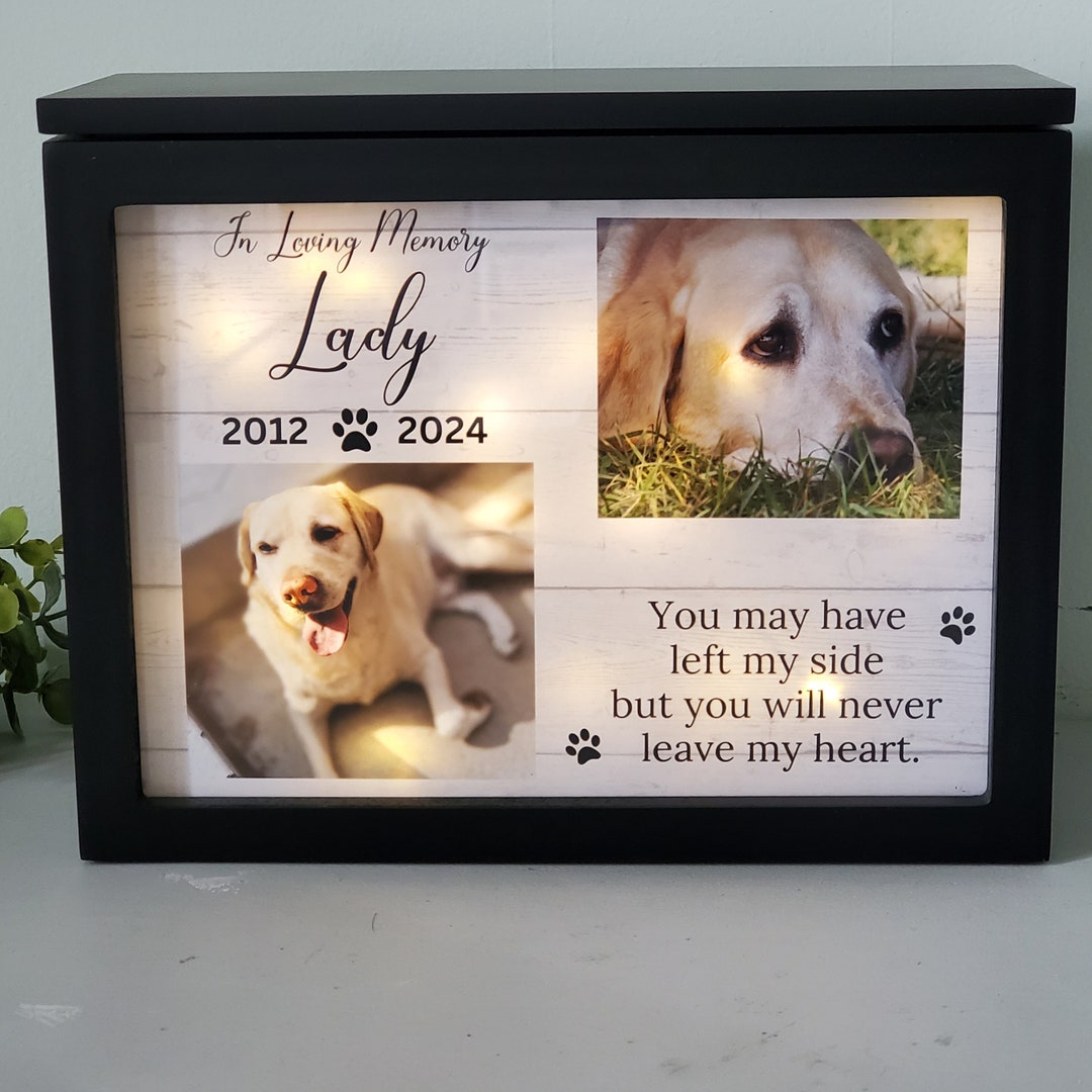 Lighted Pet Urn for Large Dogs With Photo, Pet Memorial Urn ...