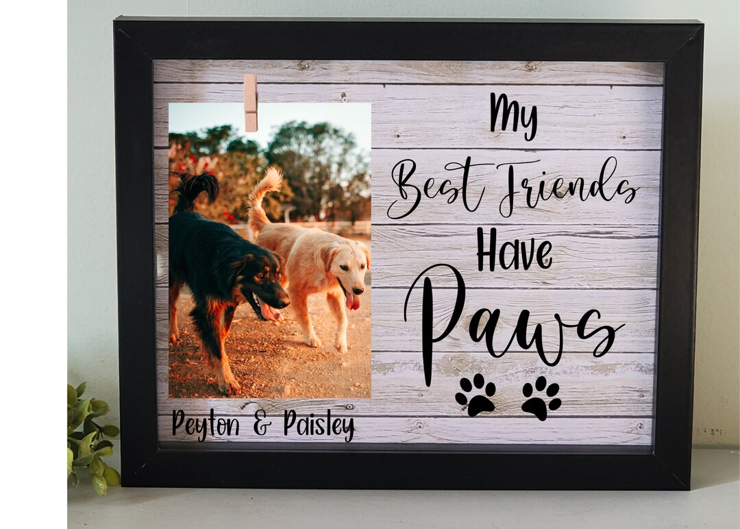 Gift for Pet Lover, Custom Pet Photo Frame, Pet Shadowbox, Cat/dog ...