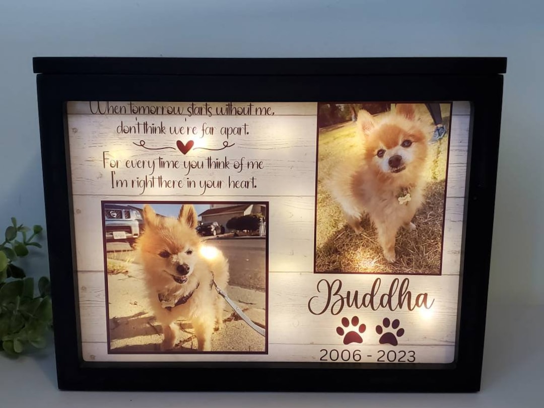 Lighted Large Pet Urn for Dogs With Photo, Pet Memorial Urn ...