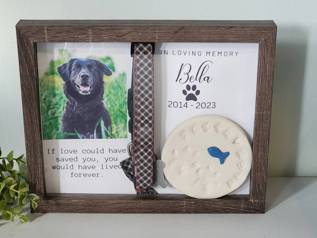 Pet Memorial Frame for Collar, Pet Memorial Shadowbox, Dog Memorial ...
