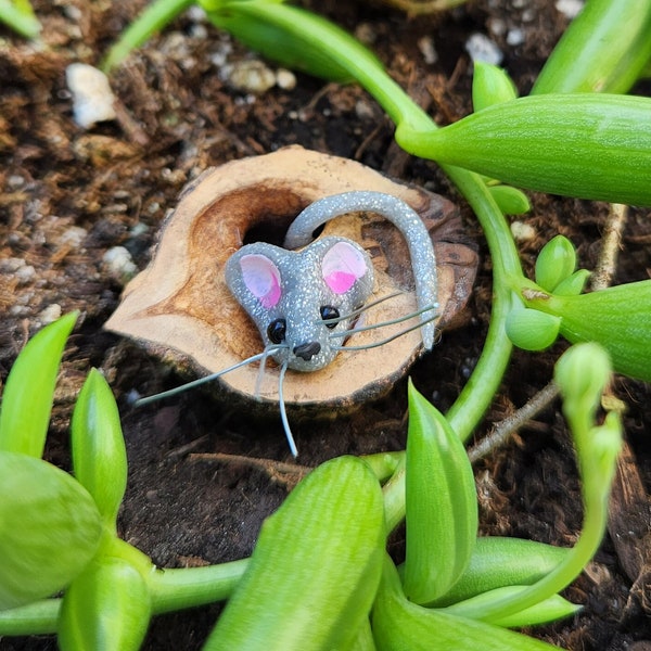 Walnut Shell Fairy - Etsy