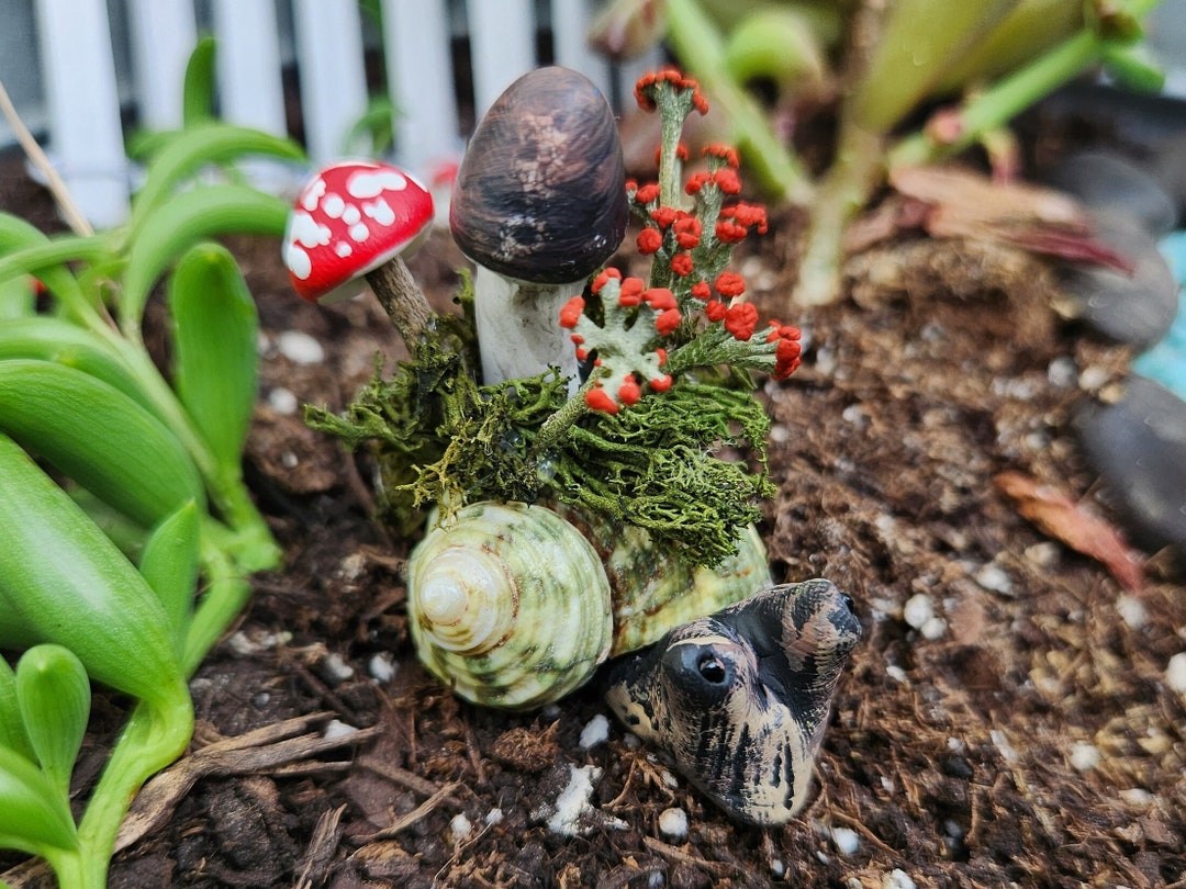 Miniature Snail With Mushrooms and Moss on His Shell, Hand-sculpted ...