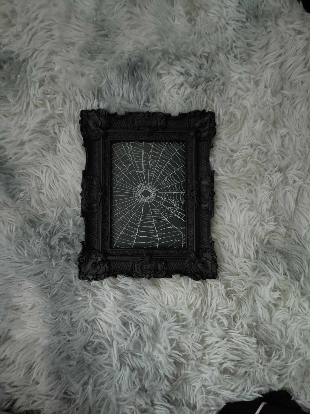 Preserved Real Spider Web Gothic Home Decor Baroque Picture - Etsy