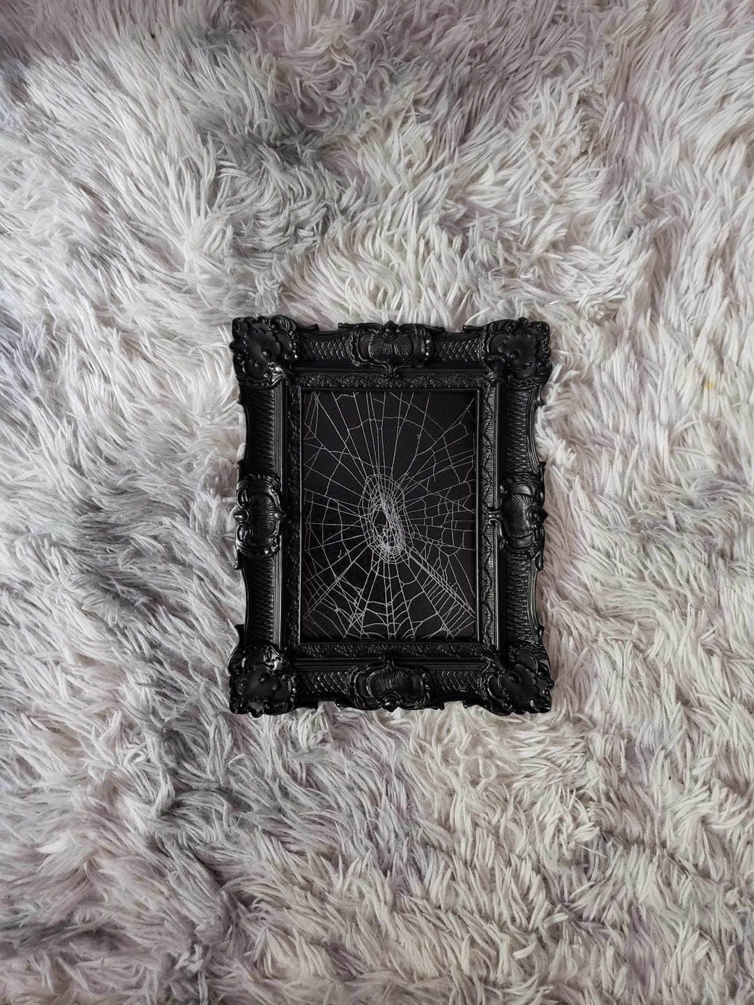 Preserved Real Spider Web Gothic Home Decor Baroque Picture - Etsy