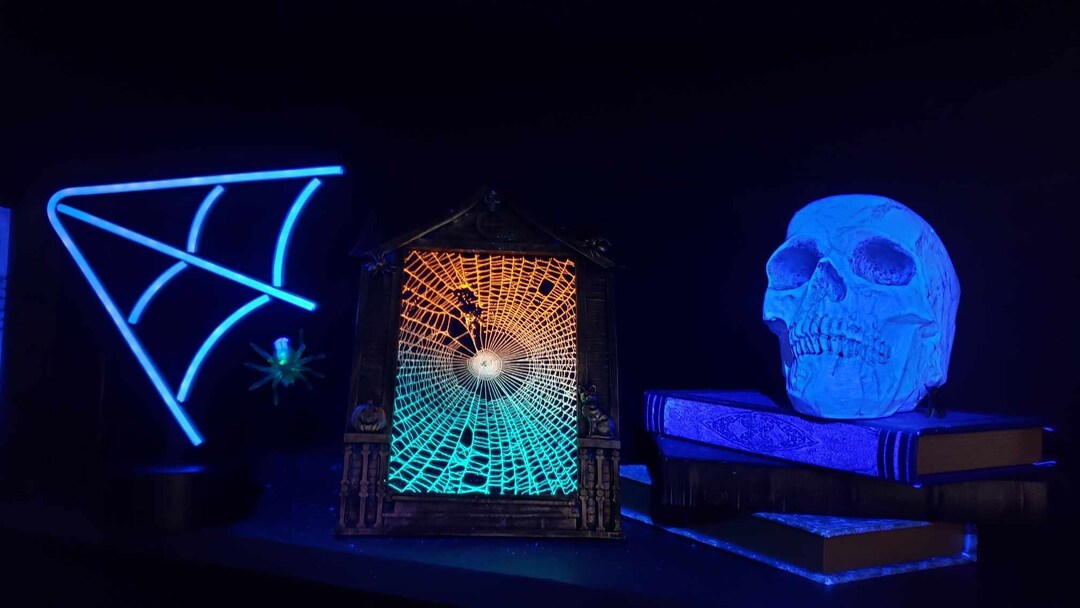 Preserved Fluorescent Real Spider Web, Gothic Home Decor, Dark Academia ...