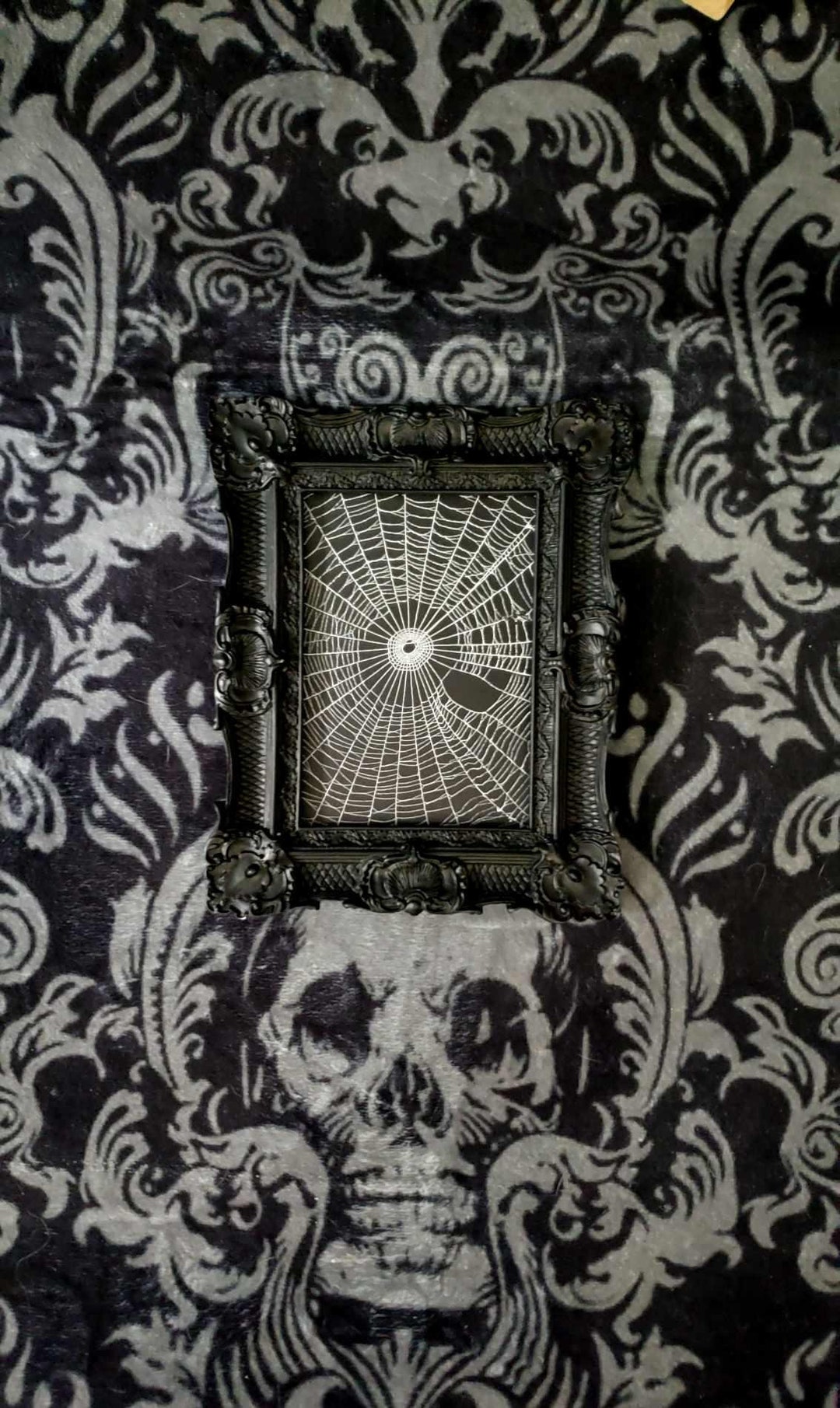 Genuine Preserved Spiderweb, Gothic Wall Art, Web Art, Ornate Frame ...