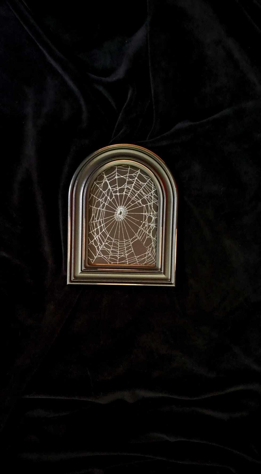 Real Preserved Spiderweb, Wall Art, Orb Weaver, Ornate Frame, Antique ...