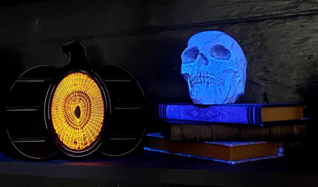 Preserved Fluorescent Real Spider Web, Gothic Home Decor, Dark Academia ...