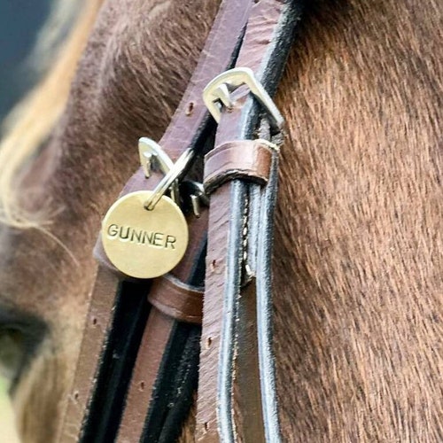 Custom Horse Halter - Etsy