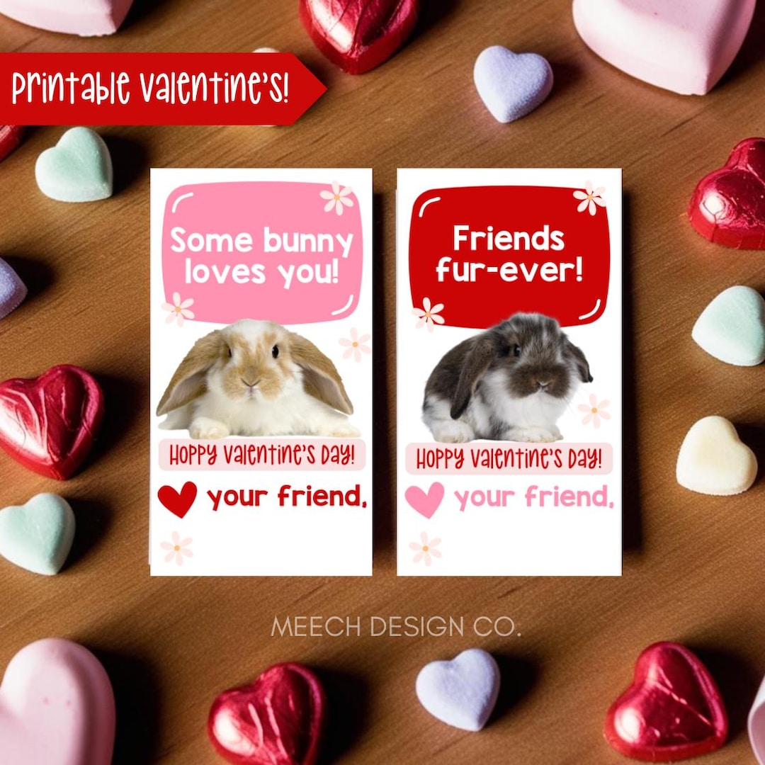 Bunny Valentine Cards, Printable Rabbit Valentines, Animal Valentines ...