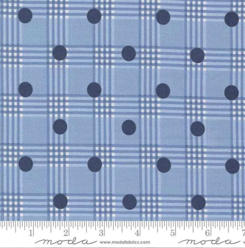 Isabella - Polka Dot Check (sky - 5yds Backing) by Minick & Simpson for ...