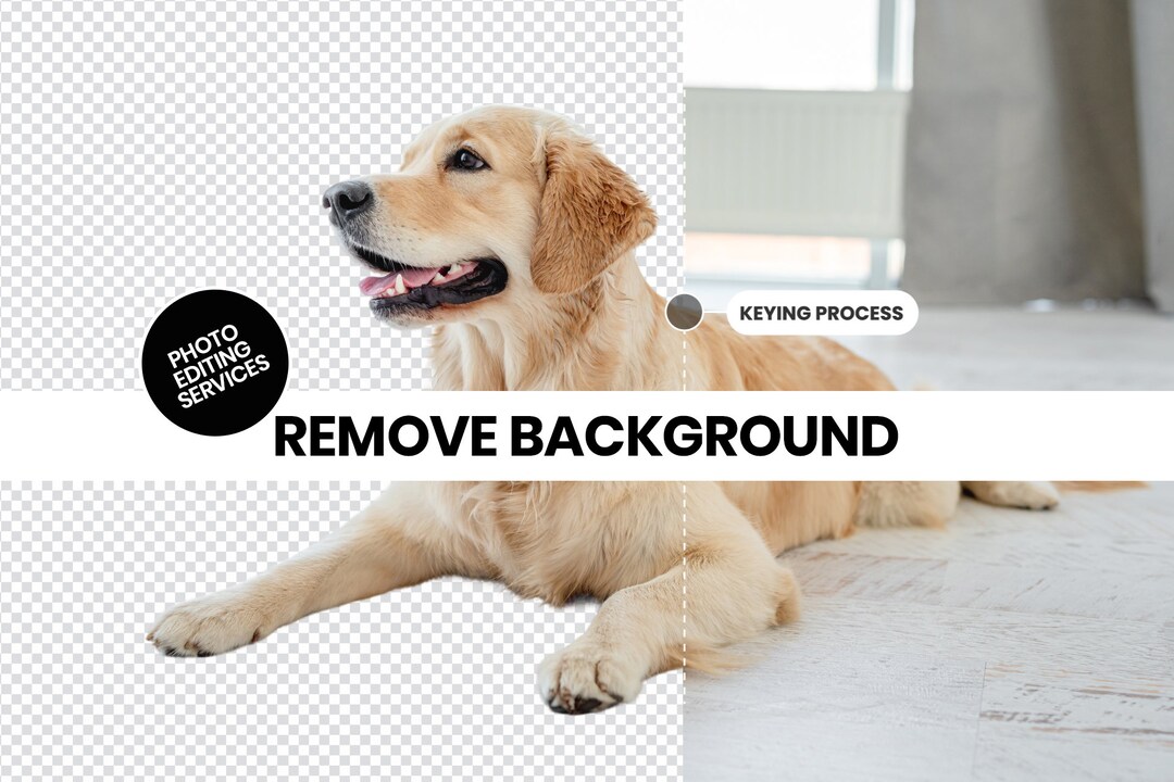 Remove Background Service, Photo Manipulation, Photo Editing Services ...