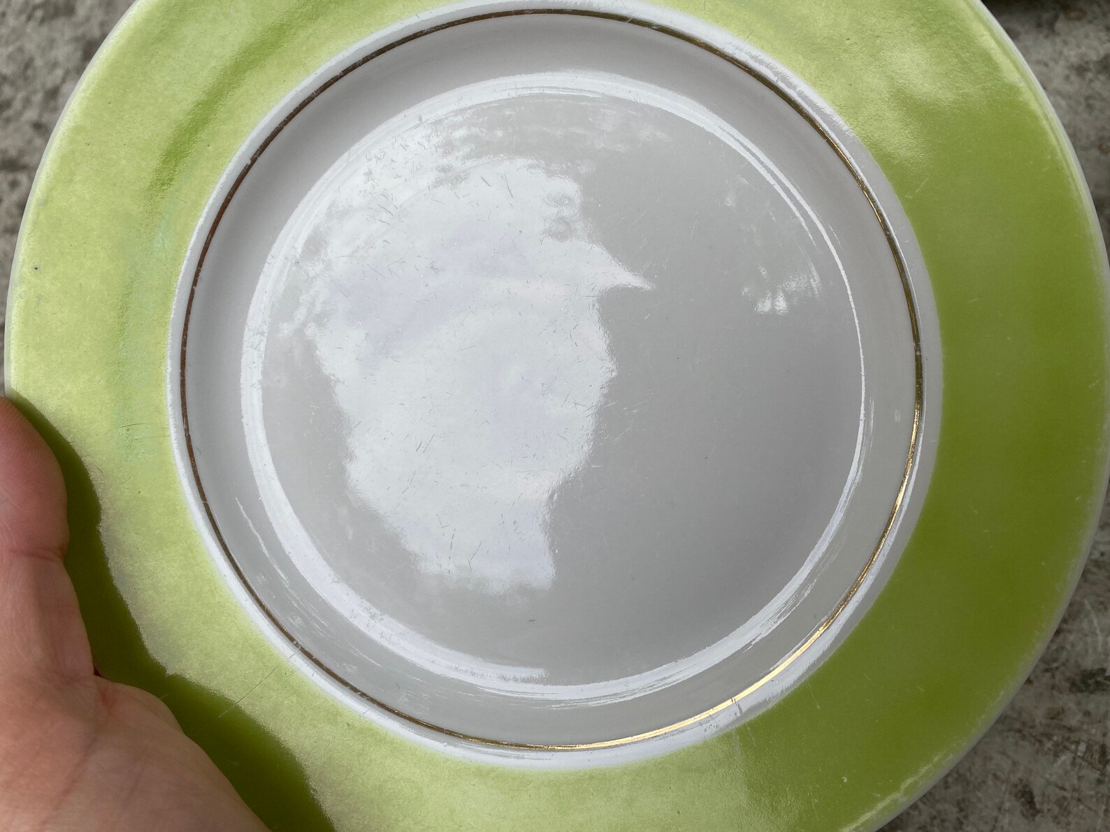 Riga Porcelain Factory Plates Set of 4 Vintage Plate With - Etsy