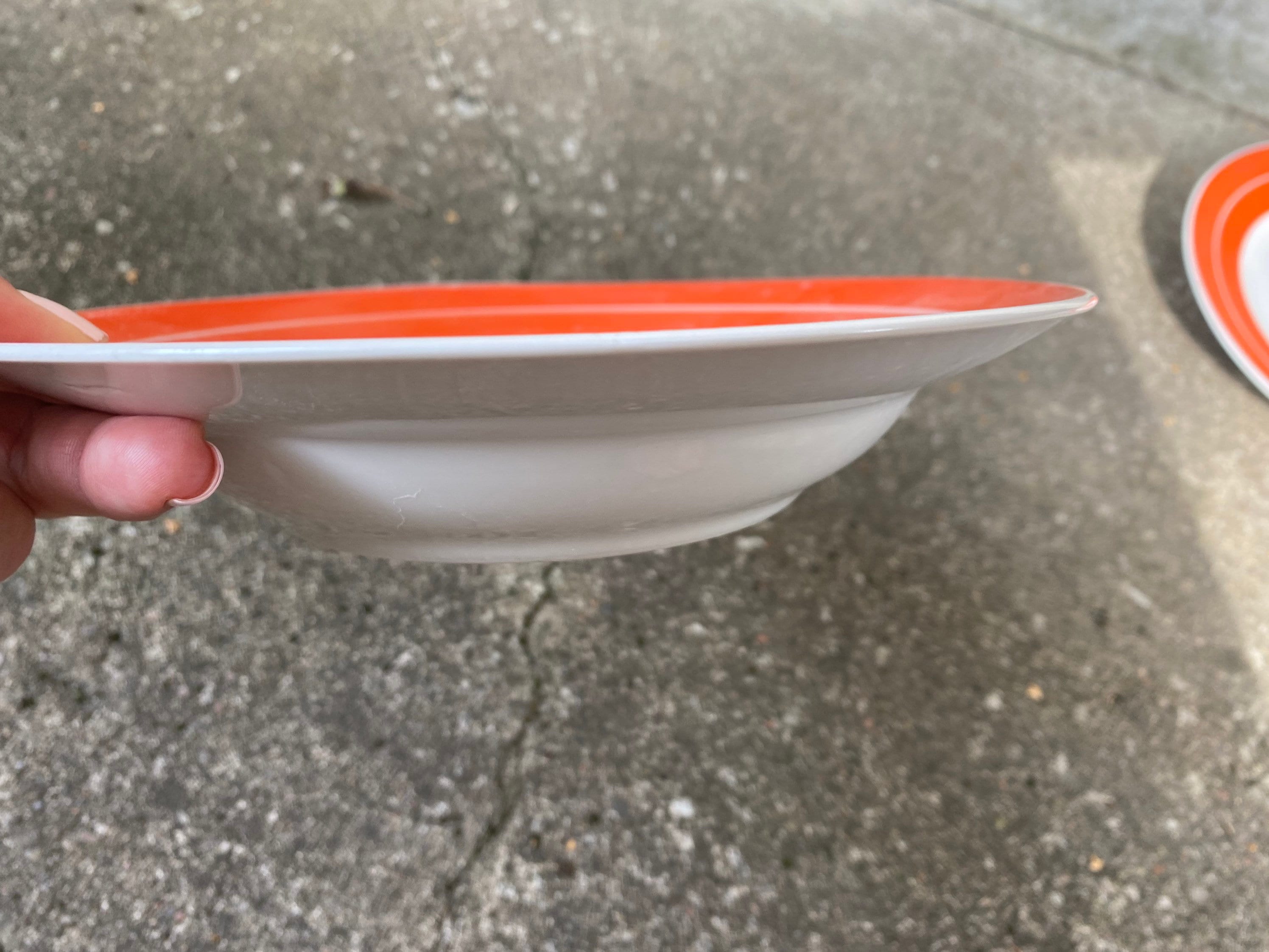 Riga Porcelain Plate and Bowl Decorated in Estonian ARS | Etsy