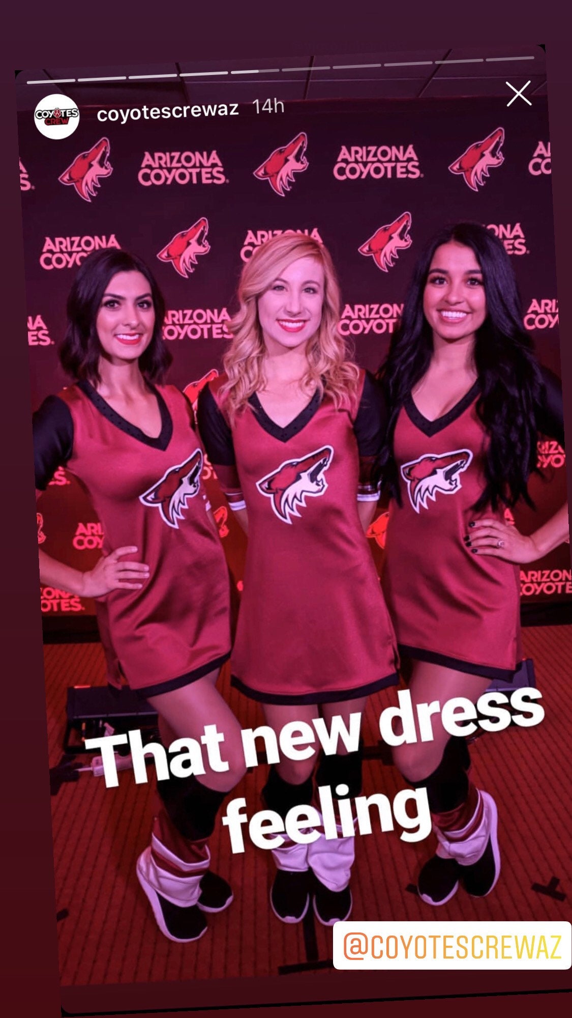 Custom Pro or College Team Uniforms Dress With Logos Dance Audition ...