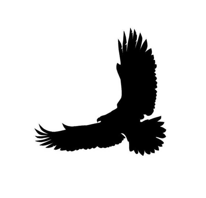 Eagle Wall Decal Bald Eagle Soaring Sticker Flying Bird Living - Etsy