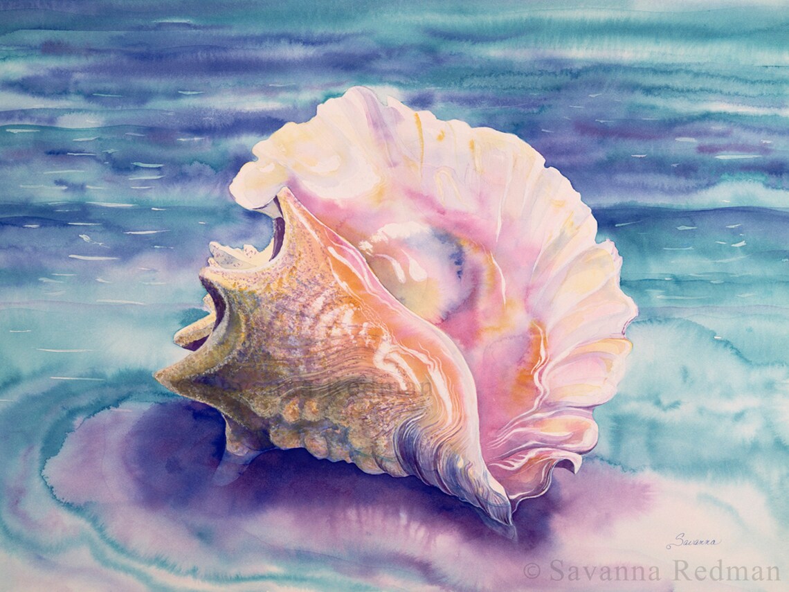 Queen Conch Watercolor, 32x24 Fine Art Giclee Print, Coastal Decor ...