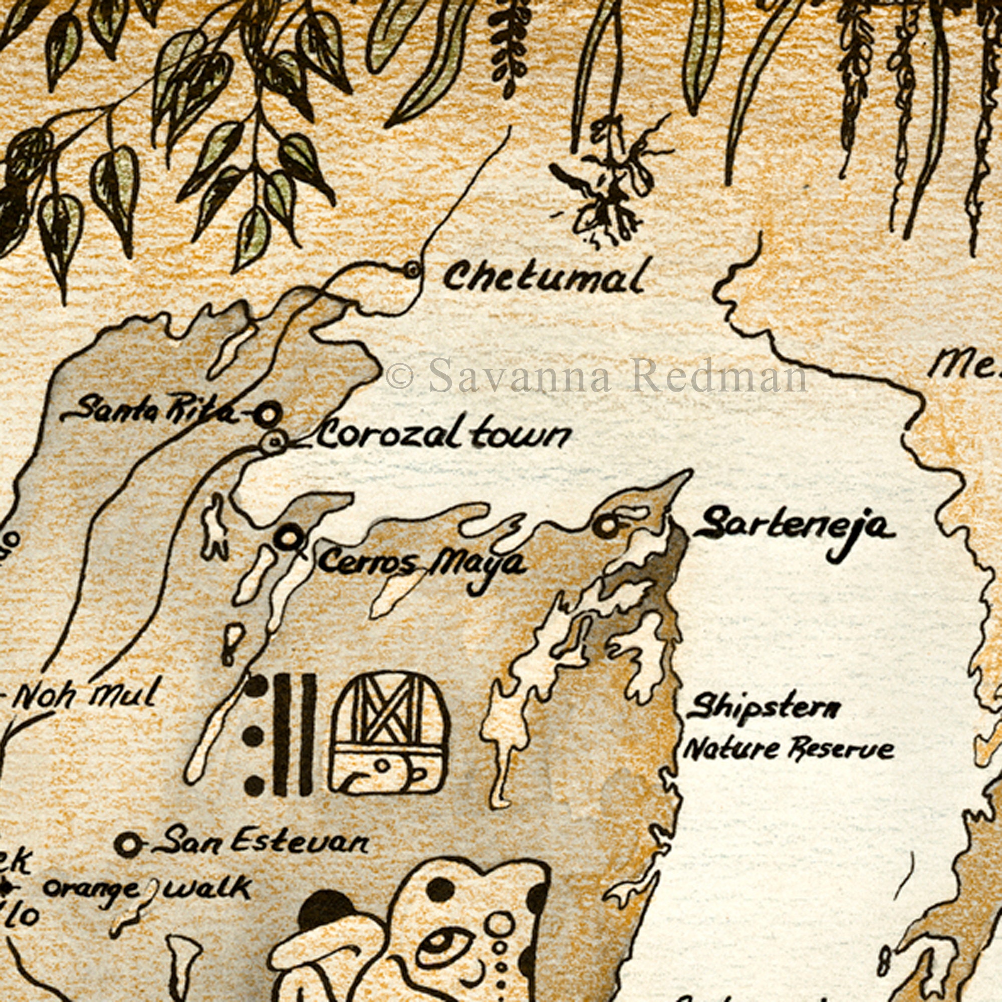 Hand-drawn Antique-style Map of Belize, Embellished With Wildlife ...