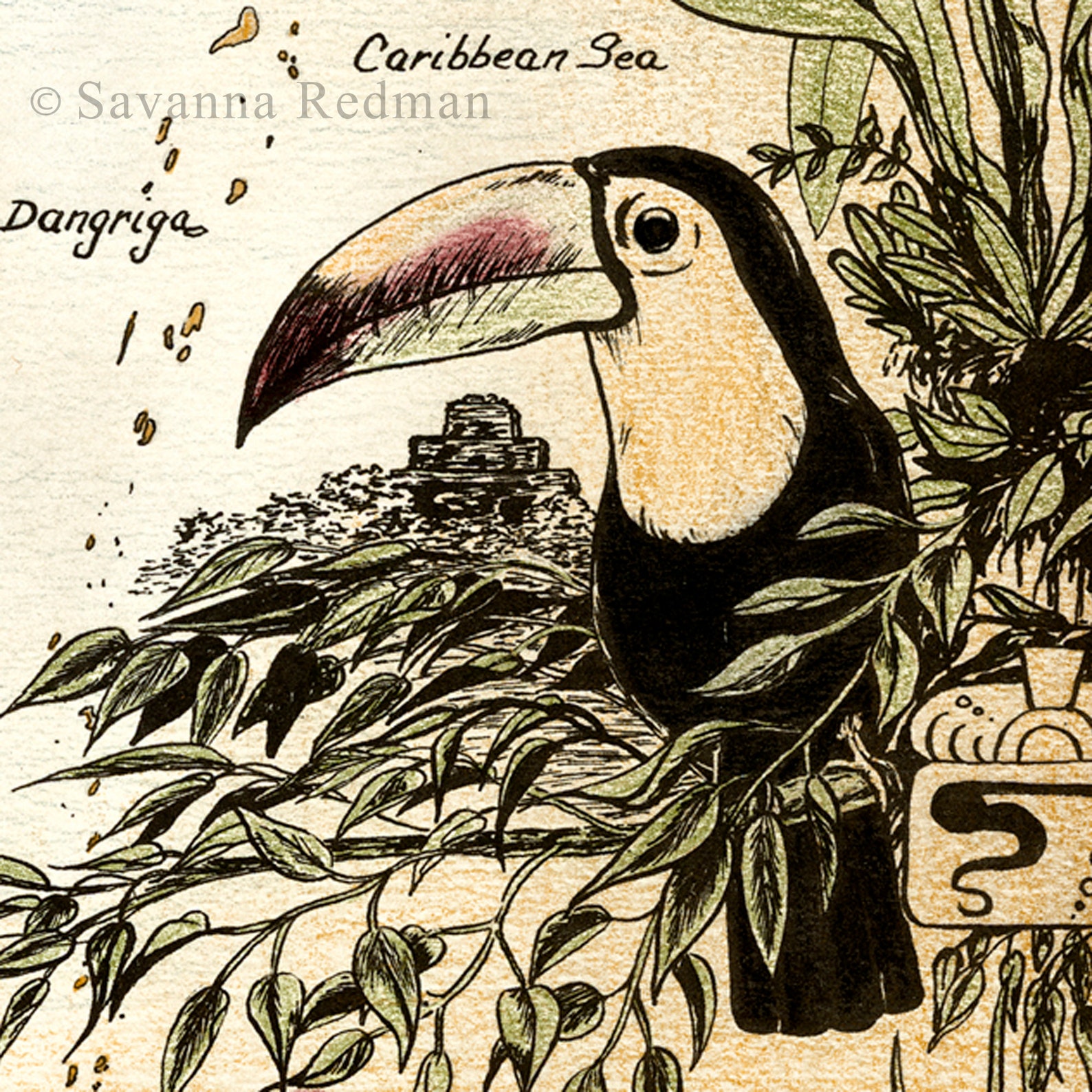 Hand-drawn Antique-style Map of Belize, Embellished With Wildlife ...