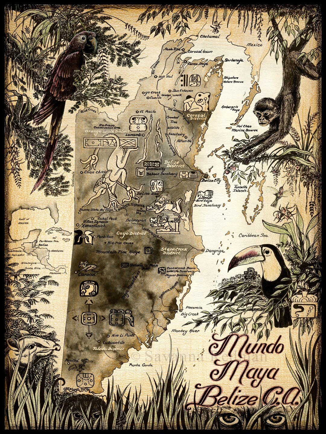 Hand-drawn Antique-style Map of Belize, Embellished With Wildlife ...