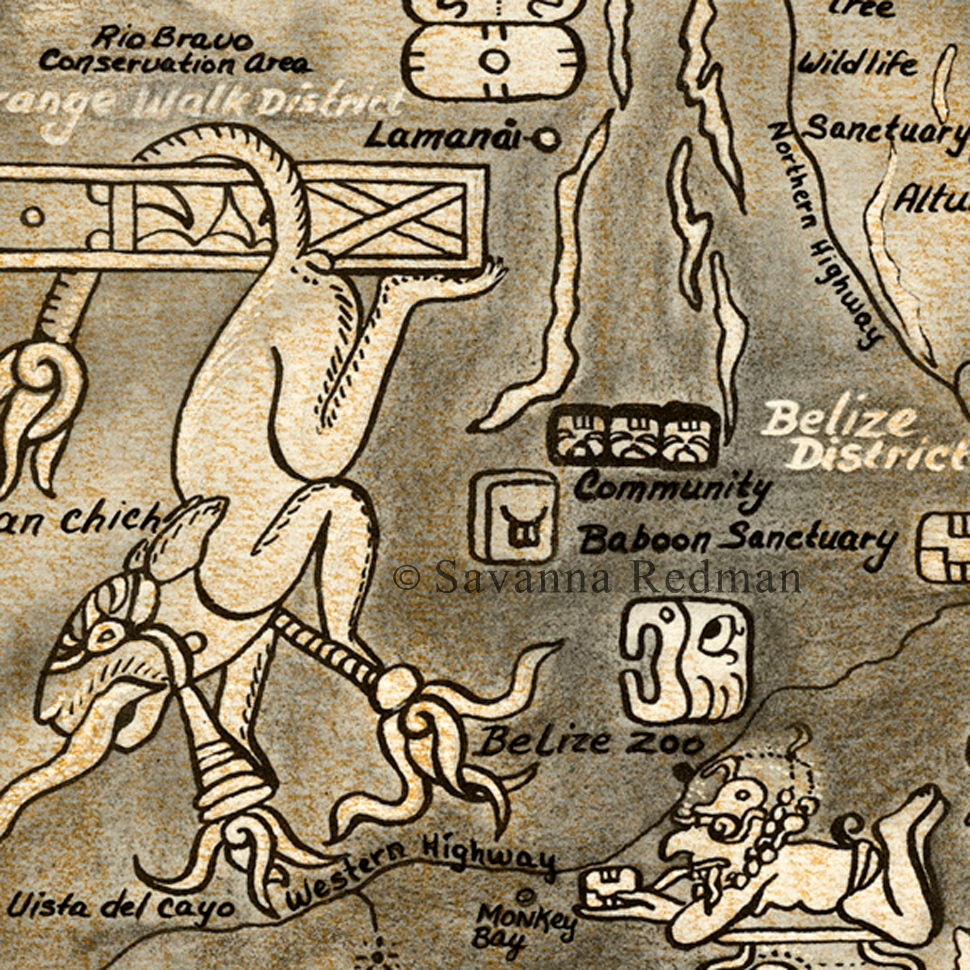 Hand-drawn Antique-style Map of Belize, Embellished With Wildlife ...