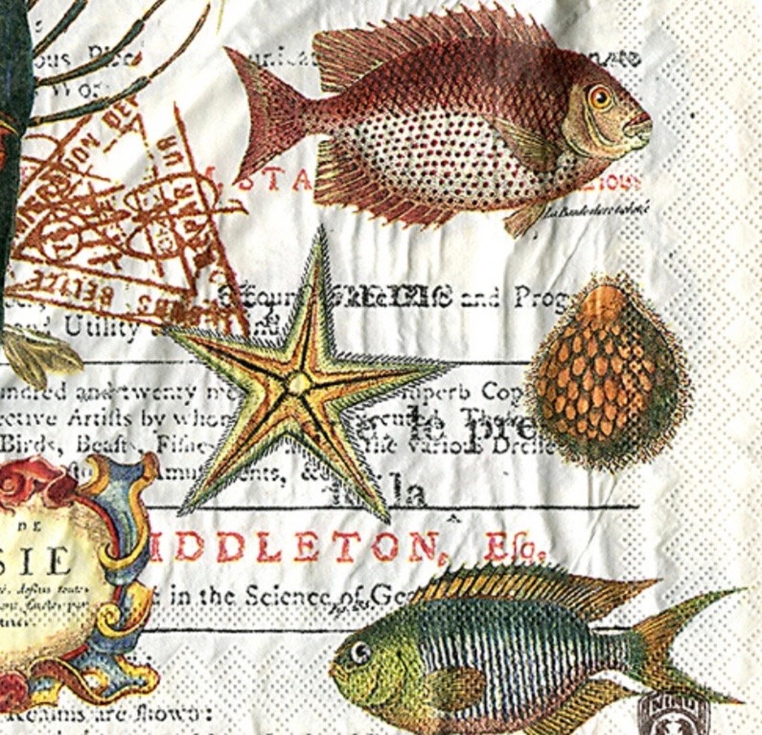 2 Large Sea Life Inspired Paper Napkins for Mixed Media, Collage ...