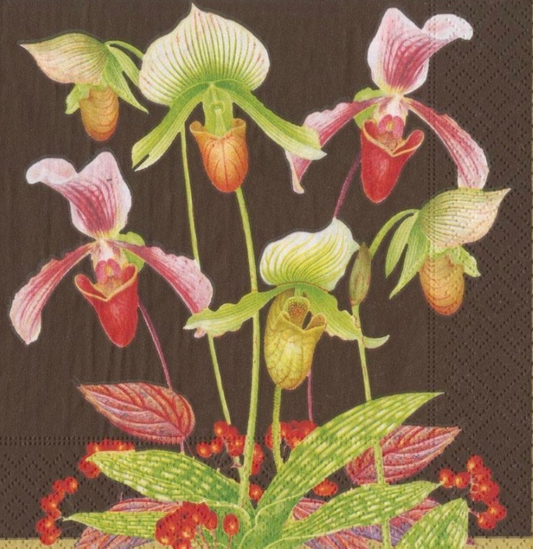 Two Large Caspari Paper Napkins for Mixed Media, Collage, Scrapbook ...